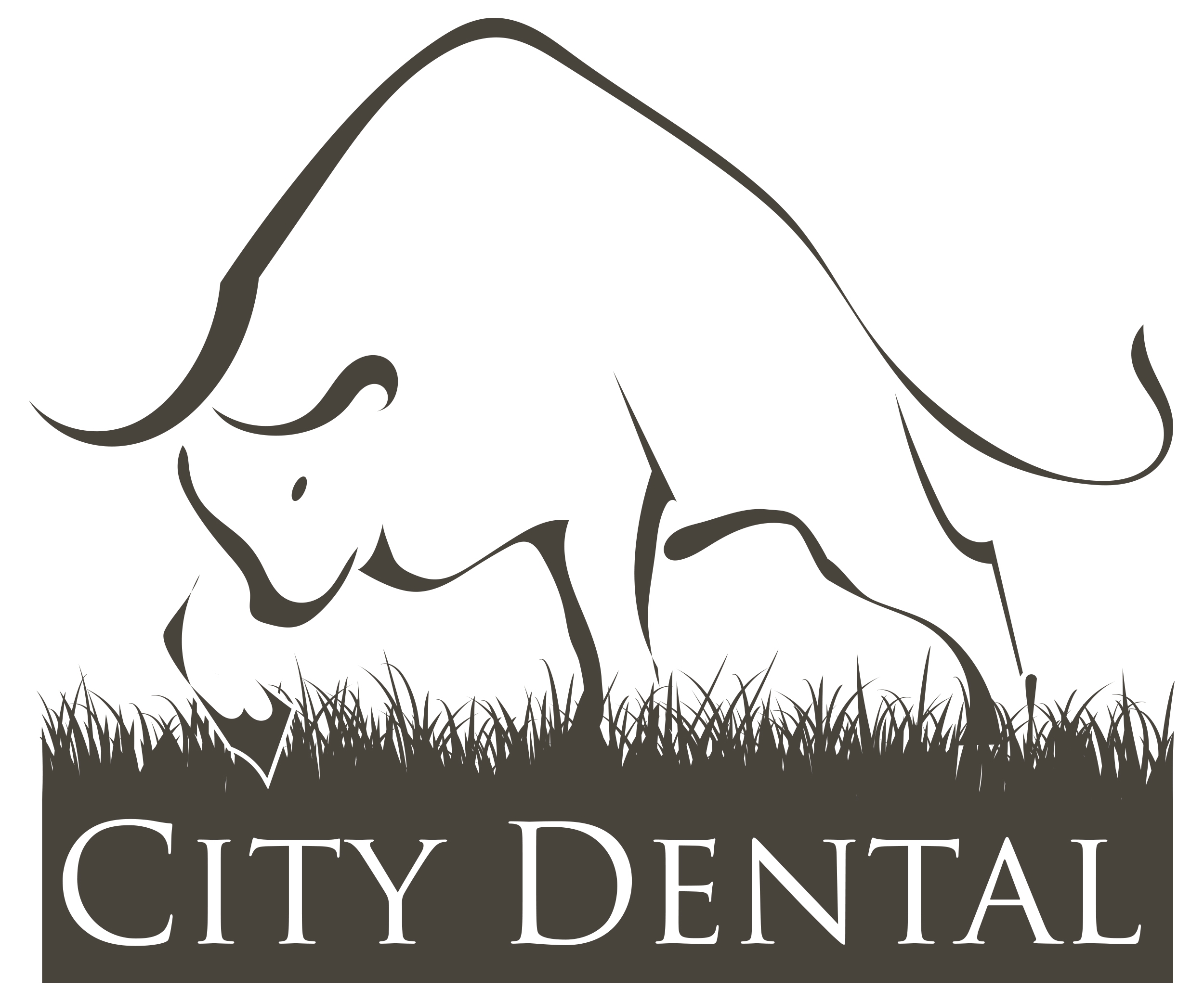 Bull City Logo